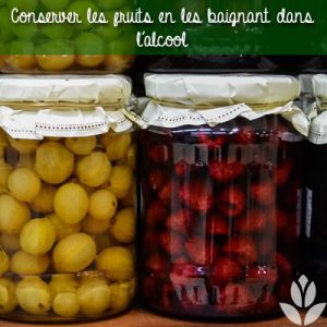 Comment conserver les fruits du jardin ? - Conseil Jardin Willemse