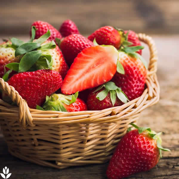 Un fraisier bien planté = des fraises à manger toute l’année ! - Les ...