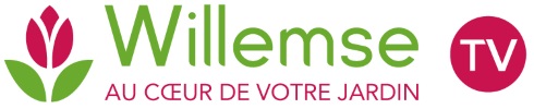 Blog Willemse France - Conseil Jardin Willemse