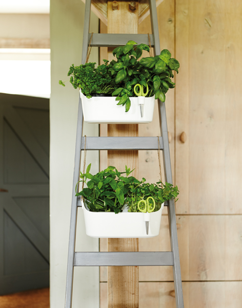 Réalisez de jolies compositions végétales - Conseils Jardin Willemse