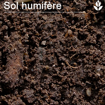 Les différents types de terre de jardin : analyse du sol - Conseil Jardin