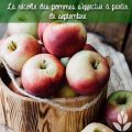 Comment, quand récolter et conserver les fruits des fruitiers du jardin