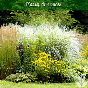 Comment faire un massif d’arbustes