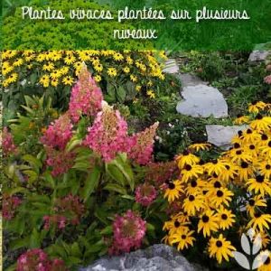 5 idées pour créer un beau massif de vivaces