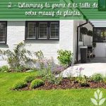 5 idées pour créer un beau massif de vivaces