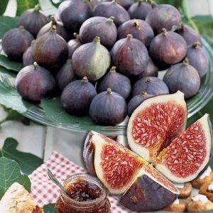 Quelles variétés de figuier choisir