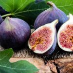 Quelles variétés de figuier choisir