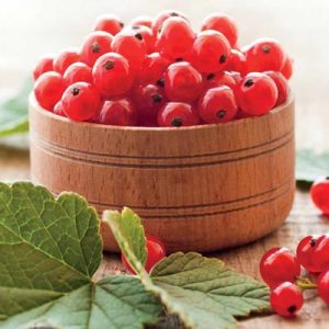 Groseillier rouge : 4 variétés de groseillier à grappes à planter au jardin