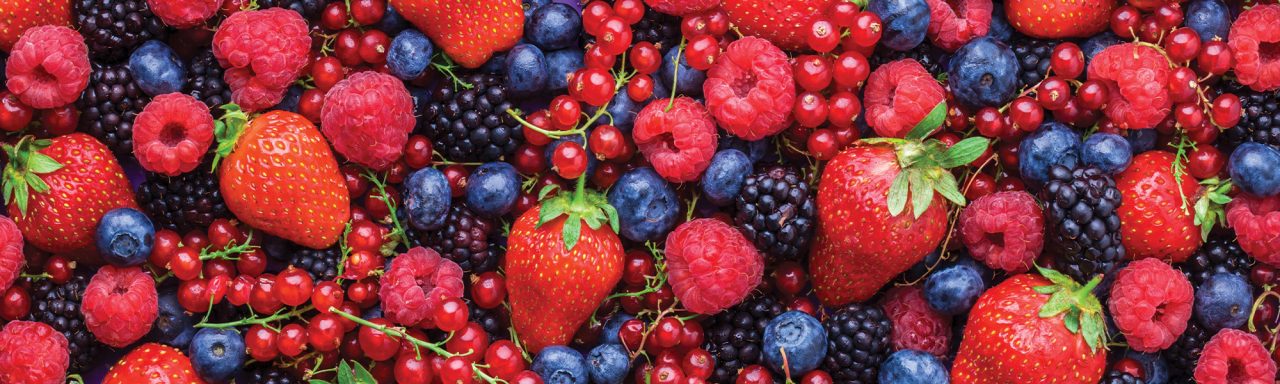 Petits fruits rouges : Conseils de culture, d'entretien et de conservation