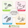 Tout savoir sur la rotation des cultures au potager