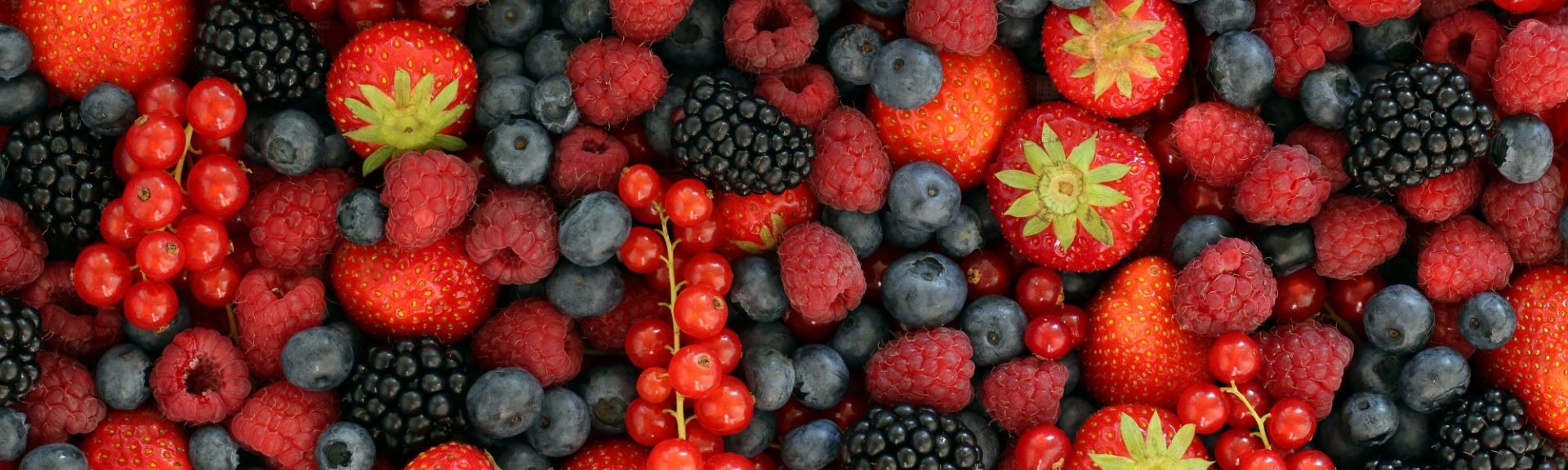 Faire pousser ses propres fruits rouges : astuces et erreurs à éviter